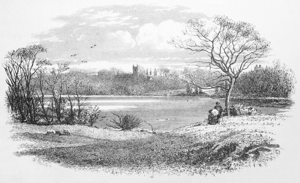 The Project Gutenberg eBook of Country Rambles, by Leo H. Grindon.