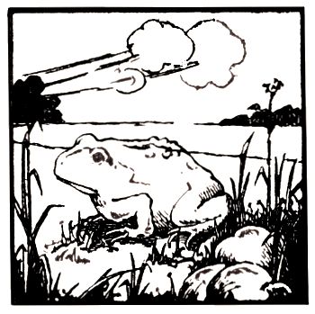 Hoppy Toad Tales, by William A. Hennessey—A Project Gutenberg eBook