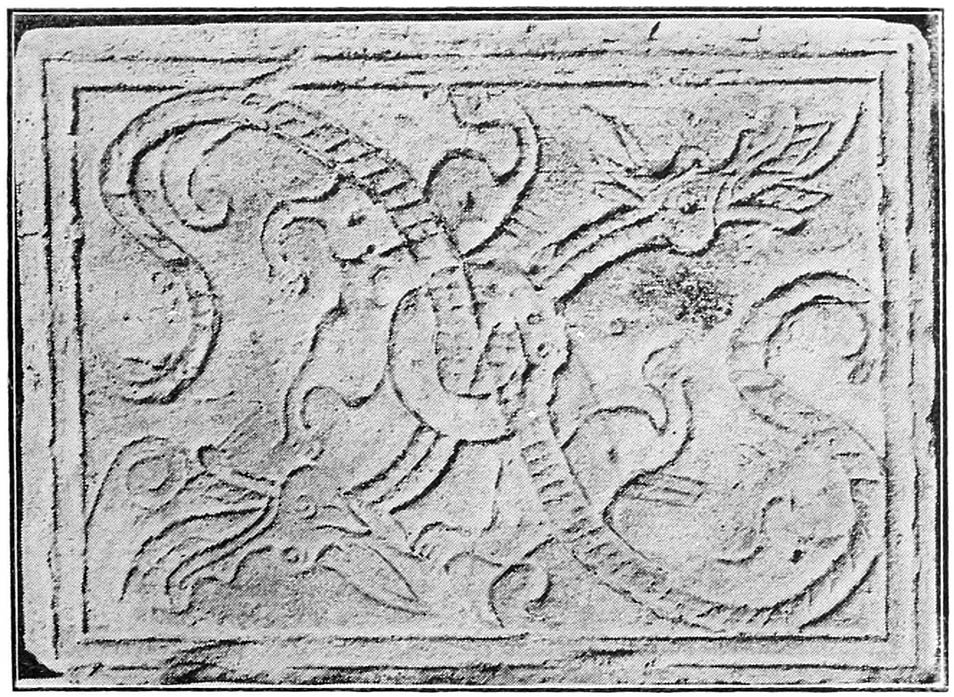 The Chinese dragon