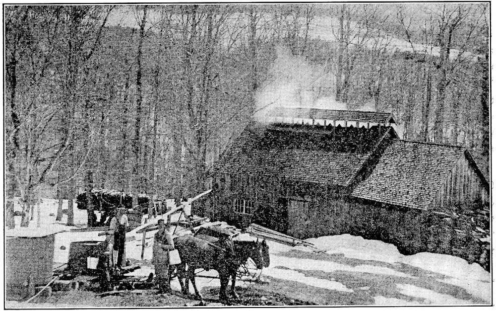 A History of Vermont’s Maple Sugar Industry | Project Gutenberg