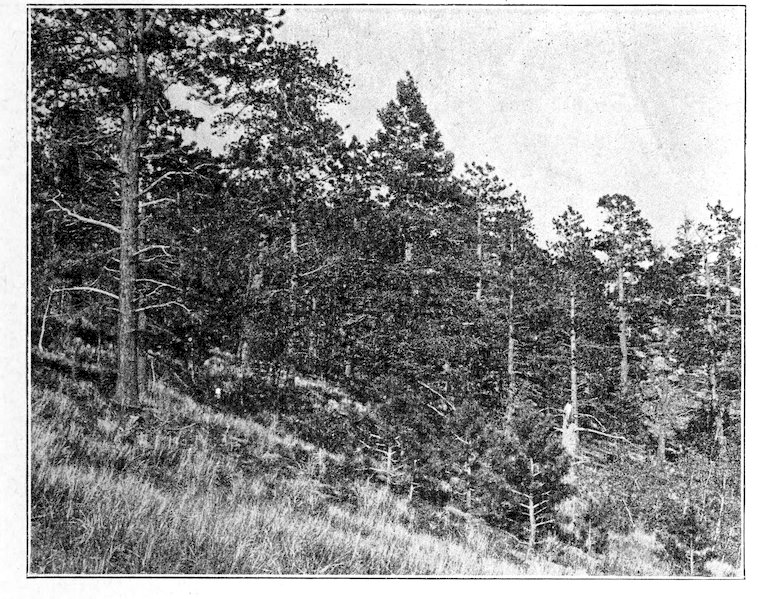 Research Methods in Ecology | Project Gutenberg